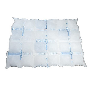Techni Ice Standard 2 Ply Disposable/One to Two-time Use Dry Ice Replacement Sheets (10)