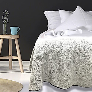 Sojoy Lap Blanket and Throws Lightweight Cozy Plush Blanket for Couch Home Office(55 * 40 inches)