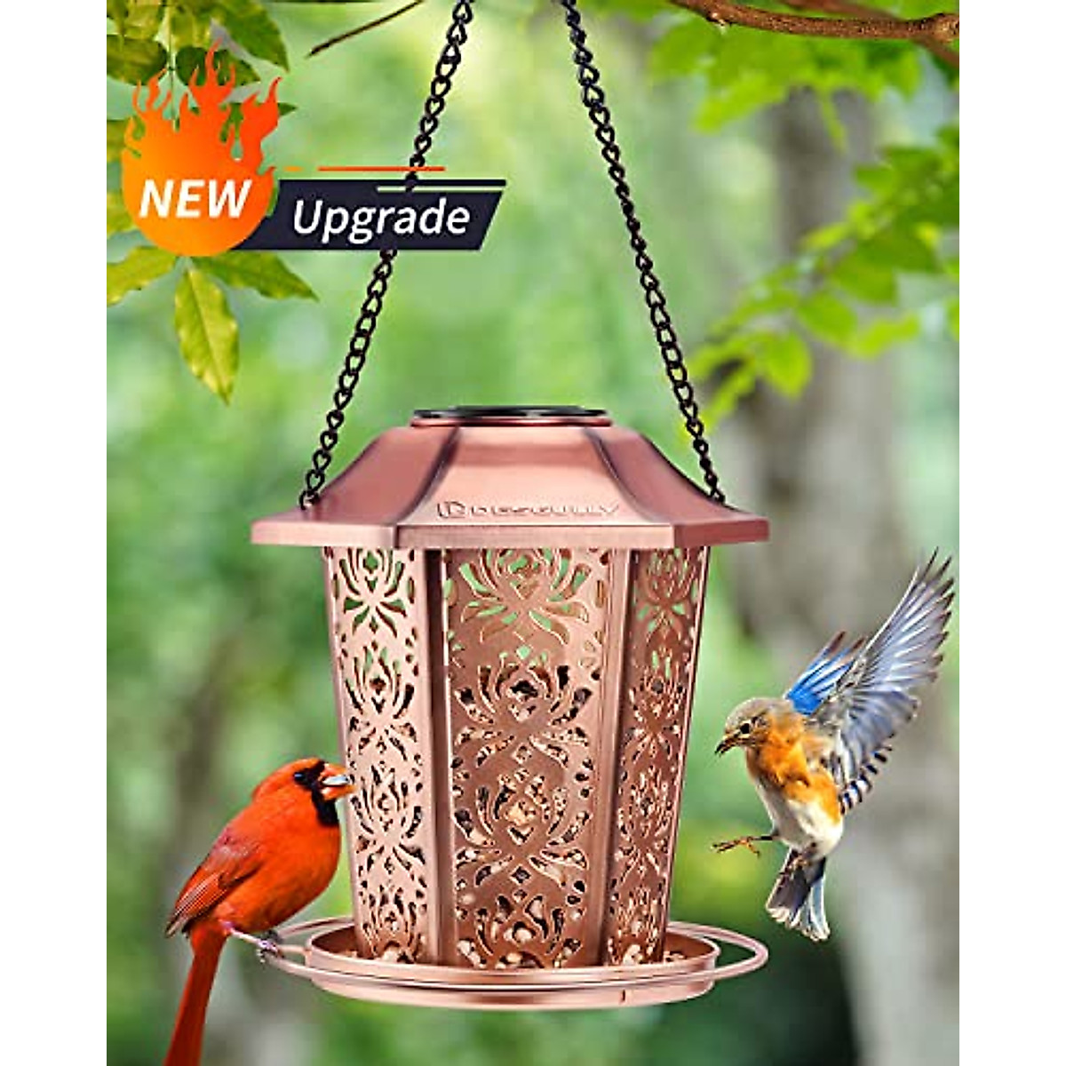 Solar Bird Feeders for Outdoors Hanging - Premium Grade Metal Bird Feeder, Chew-Proof, Weather and Water Resistant Wild Bird feeders, Outside and Garden Decoration (Standard)