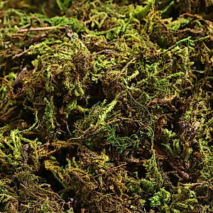 Garneck Artificial Fake Moss Lifelike Green Moss for Potted Plants Home Garden Patio Crafts Centerpieces Decor