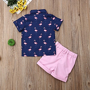 VISGOGO Toddler Baby Boy Flamingo Short Sleeve Button Down Shirt & Casual Shorts Set Summer Outfits 1-6 Years Clothes