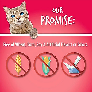 Fruitables Cat Treats | Crunchy Cat Treats | Healthy Low Calorie Cat Treats Packed with Protein | Free of Wheat, Corn and Soy | 2.5 oz (Pack of 3)