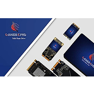 GAMERKING SSD msata 1TB Internal Solid State Drive High Performance Hard Drive for Desktop Laptop SATA3 6Gb/s Mini PC (1TB, MSATA)