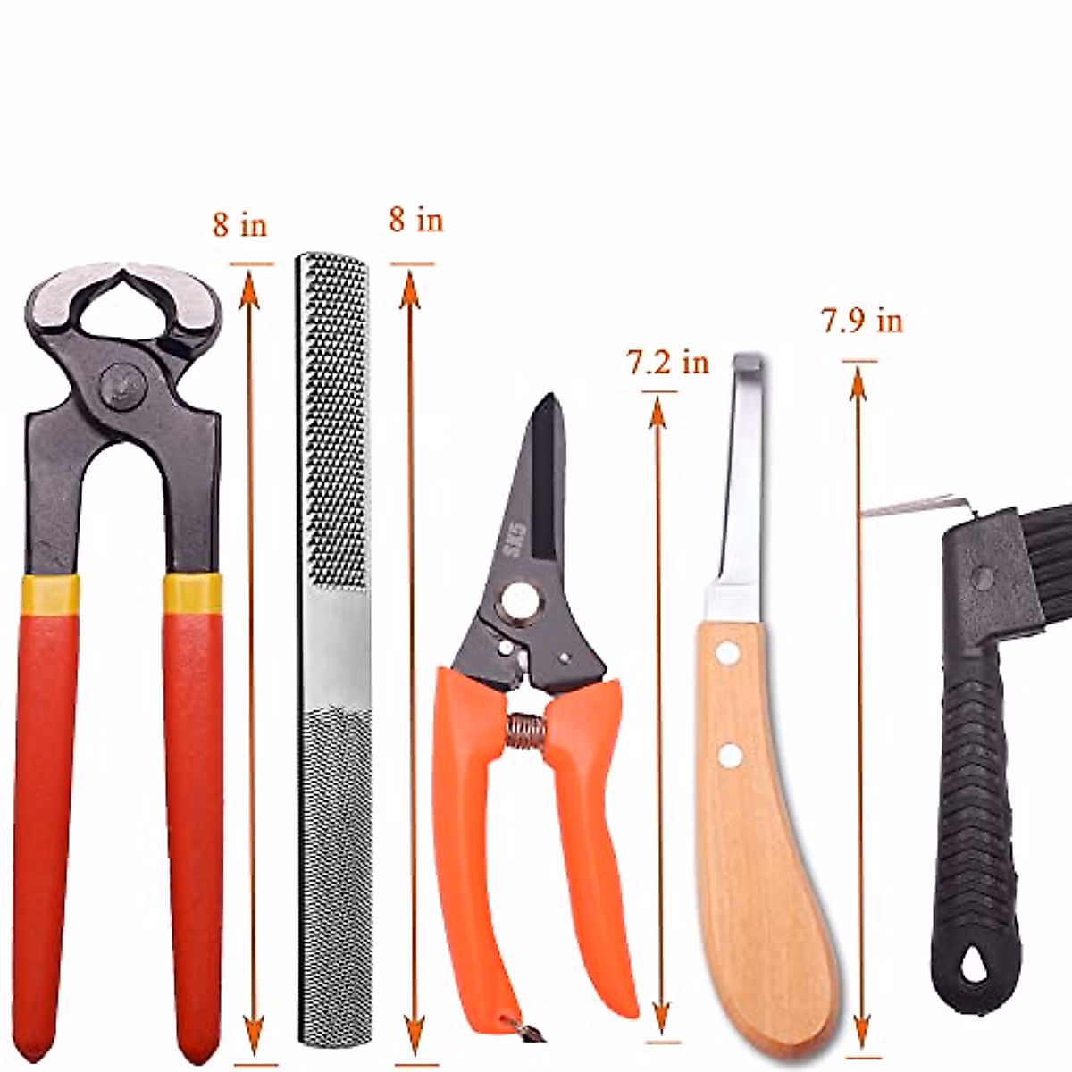 8 inch Farrier Tool Kits （7 Piece） Mini Rasp Hoof File Goat Pig Equine Metal Shears Professional Farriers Hoof Nipper Cutter Handle Knife