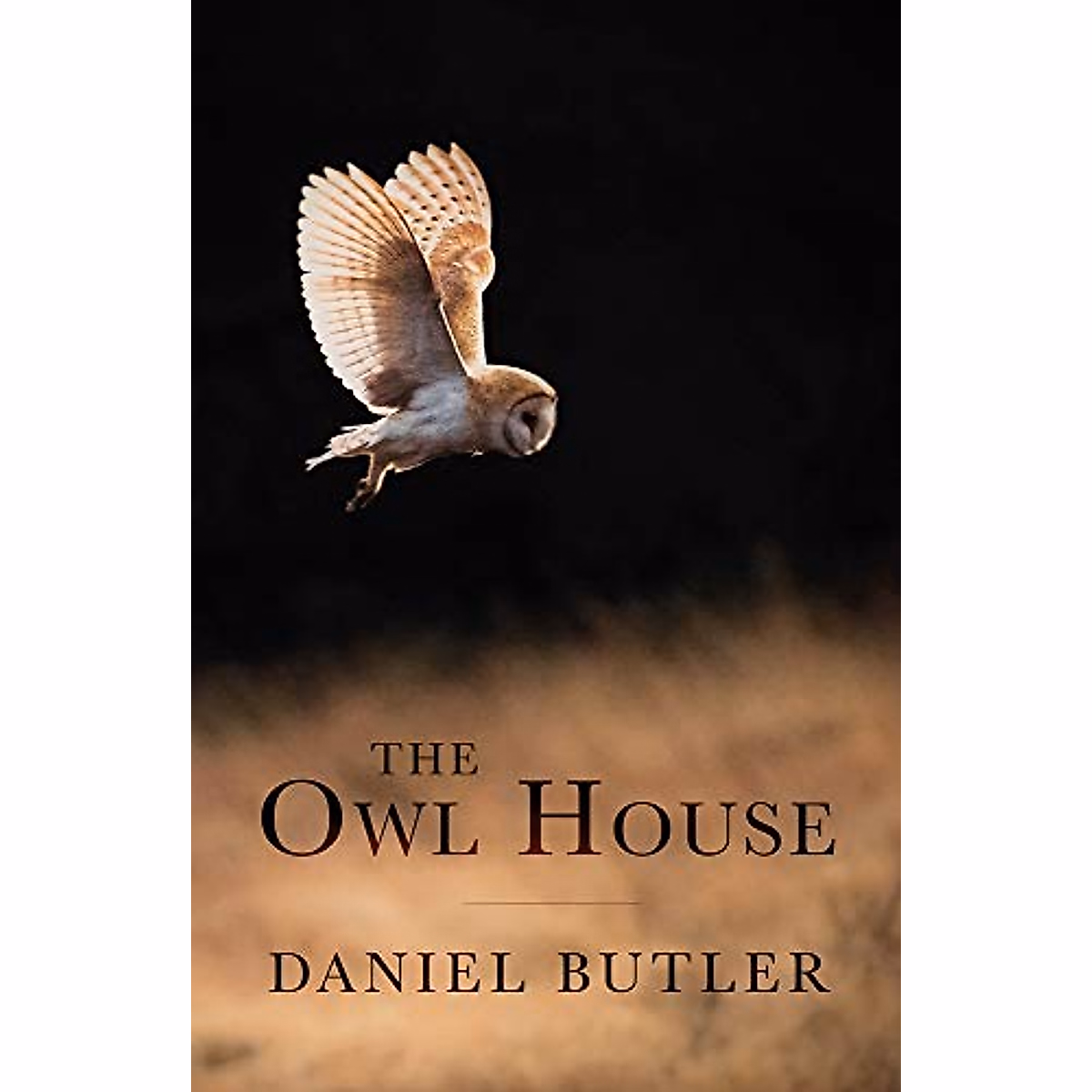 The Owl House