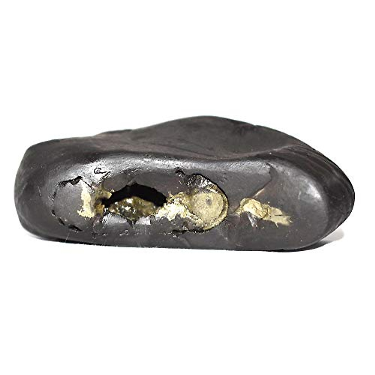 Rudrakshguru Krishna Shaligram/Madana Gopala Salagram - Gandaki River Nepal