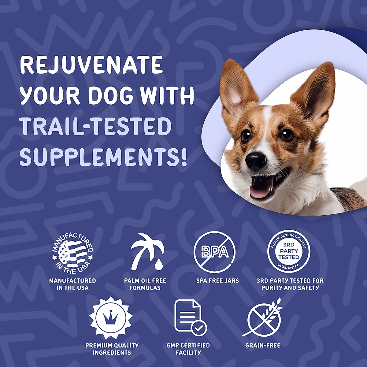 waggedy Advanced Hip and Joint Supplement Dogs with Glucosamine, Chondroitin, MSM & Fatty Acids — Daily Support Dog Health Supplements to Slow Degenerative Process Inside Joints (60 Dog Chews)