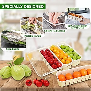 BRIFUFOUS Divided Serving Tray with Lid and Handle - Portable Snackle Box Charcuterie Container, Veggie Snack Box, Travel Snack Box Organizer, Multipurpose Storage Boxes with 4 Compartments & 4 Forks