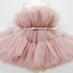 Nileafes Toddler Formal Dress Tulle Fluffy Dresses Baby Girls Princess Dress Size90 (1-2 Years,766 Pink-N)