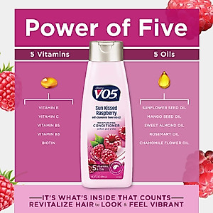 Alberto VO5 Herbal Escapes Sun Kissed Raspberry Balancing Conditioner for Unisex, 12.5 Ounce (U-HC-8697)