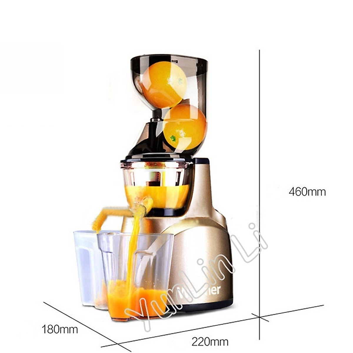 TANACC Portable Juice Blender Electric Multifunction Juicer Fruit Ice Cream Maker Household Food Processor Juice Extractor Stainless Steel Body