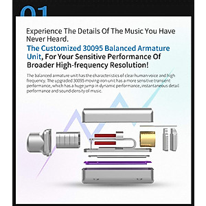 erjigo KZ ZSN Pro Dynamic Hybrid Dual Driver in Ear Earphones Detachable Tangle-Free Cable Musicians in-Ear Earbuds Headphones (Purple with Microphone)