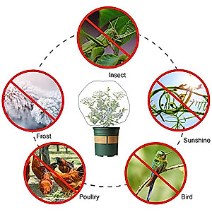 4 Pack Garden Neting Plant Insect Bird Barrier Mesh with Drawstring 3.5Ftx2.3Ft Mesh Plant Covers Freeze Protection Tomato Barrier Bag for Garden Flower Blueberry Vegetables Fruits Bird Eating