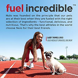 Nulo Freestyle All Breed Senior Dry Dog Food, Premium Grain-Free Dog Kibble with Healthy Digestive Aid BC30 Probiotic and Chonoitin Sulfate for Hip & Joint Support, 6 Pound (Pack of 1)