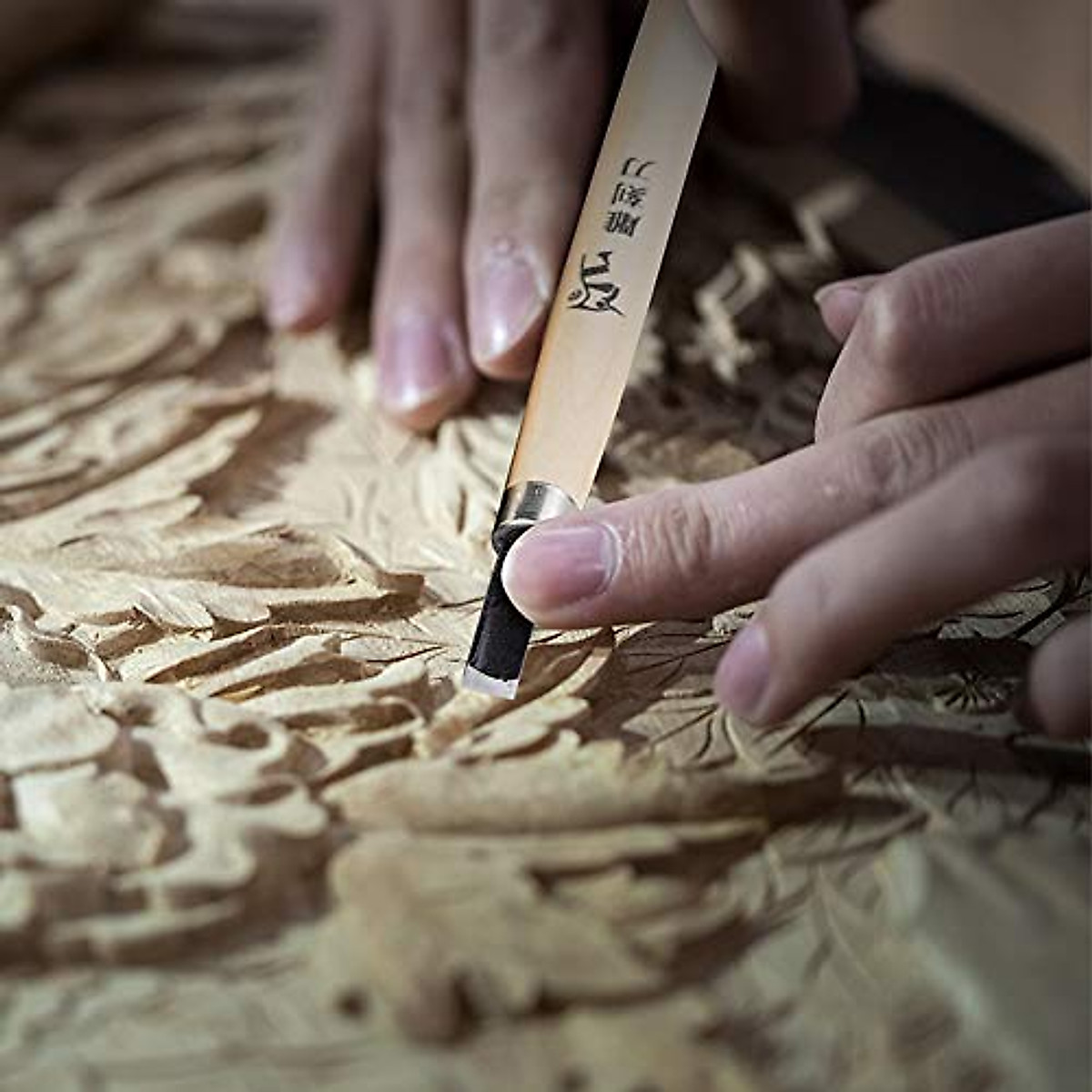 WAYCOM 24PCS Wood Knife Kit Set Wood Carving Kit,Professional Chisel Set, including Small, Middle, Large size (24PCS)