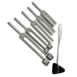 Tuning Fork Set of 5 Taylor Hammer Diagnostic Instruments CYNAMED