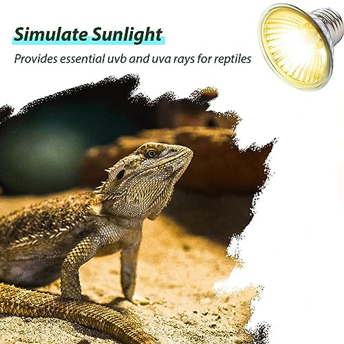 BINANO 4-Pack 50W UVA Reptile Heat Lamp Bulbs | UVB Reptile Light for Aquatic Turtles, Tortoises, Lizards, Bearded Dragons, Hedgehogs, Amphibians & Reptiles