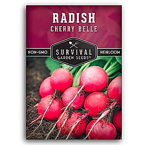 Survival Garden Seeds - Cherry Belle Radish Seed for Planting - Packet with Instructions to Plant and Grow Quick-Growing Delicious Red Radishes in Your Home Vegetable Garden - Non-GMO Heirloom Variety