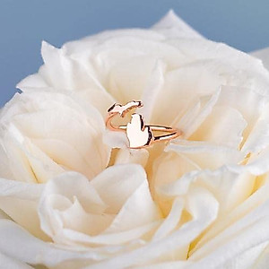 Stone Armory State of Michigan Ring | Adjustable Michigan Map Ring | Unique MI Jewelry | Souvenir Gifts (Copper Plated Brass)