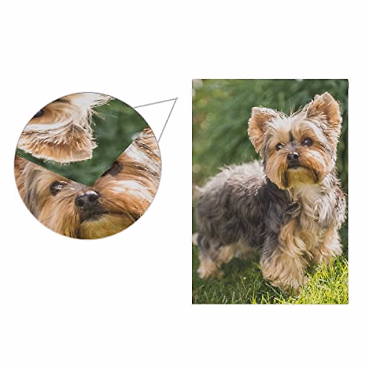 Hokkien Little Yorkshire Terrier Dog Garden Flag Double Sided 12 x 18 Inch, Yard Flags, Decorative Small Garden Flags, Outdoor Lawn and Garden Décor