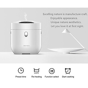 JINGTIEDA Small Rice Cooker,Multi Food Steamer,Portable Travel Rice Cooker 3 Cups (Uncooked),Suitable For 1-2 People Soup, Rice,cake and Porridge