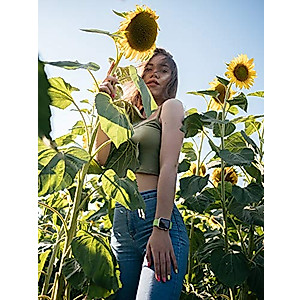 Skyscraper Sunflower Seeds for Planting | 20 Seeds | Rare, Exotic Garden Seeds | Huge 15-20 feet Tall with Giant Sunflowers