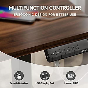 Fenge Standing Desk,55x24 Inches Electric Height Adjustable Stand up Desk,2 Tier Sit Stand Home Office Desk,Memory Computer Standing Table Ergonomic Workstation