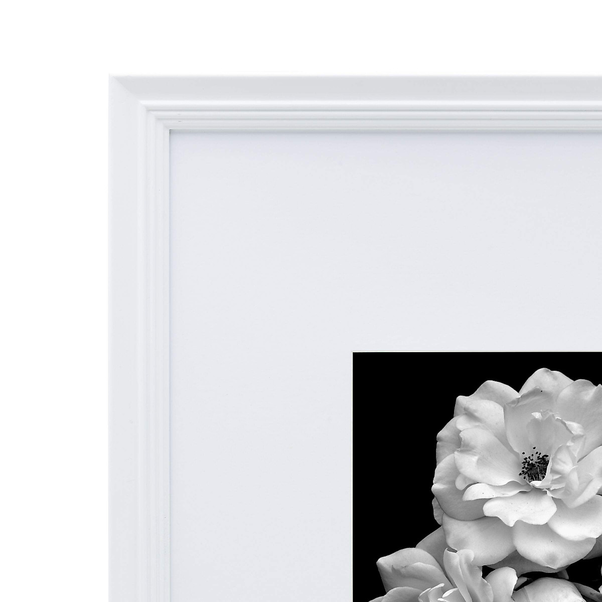 Studio Nova Picture Frame Displays 8 x 10 Photos 16 x 20 Without Mat, White