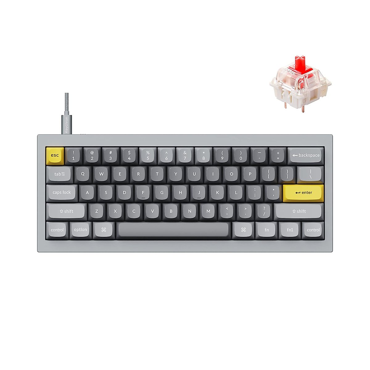 Keychron Q4 Wired Custom Mechanical Keyboard, QMK/VIA Programmable Macro, Full Aluminum, Hot-Swappable Gateron G Pro Red Switch, 60% Layout Double Gasket Compatible with Mac and Windows - Gray