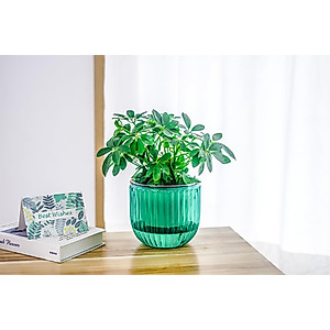 Melphoe 2 Pack Self Watering Hanging Planters Indoor Flower Pots, 6.5 Inch Outdoor Hanging Plant Pot Basket, Plant Hanger with 3Hooks Drainage Holes for Garden Home