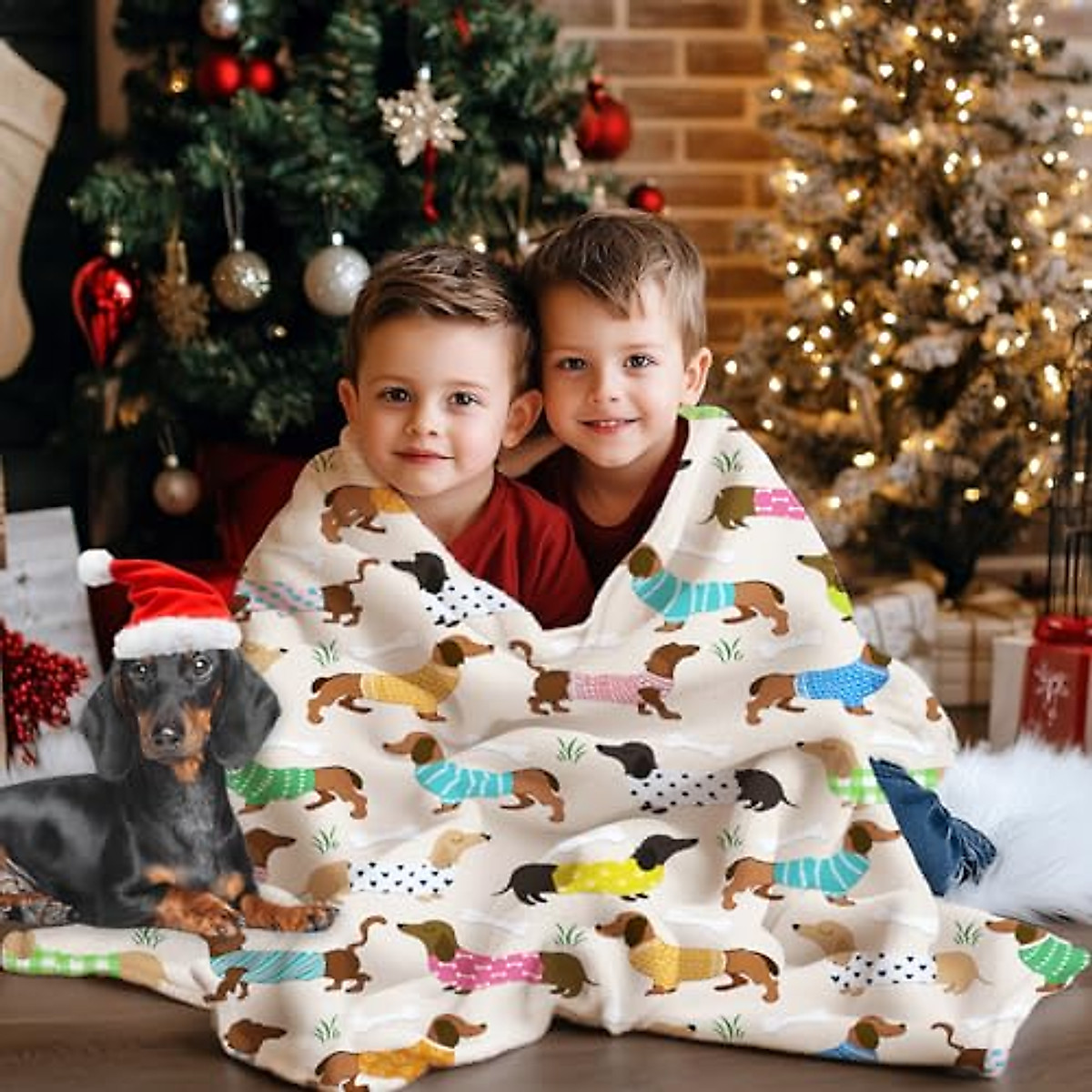 BUYYET Cute Dachshund Decor Fleece Flannel Animals Blanket Wiener Dog Dachshund Gifts Blanket for Women Lightweight Soft Cozy Throw Blanket for Bed Couch Travel Outdoor 40''x 50'' for Kids/Child