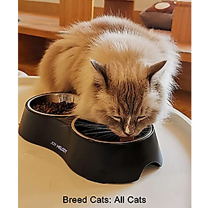 Joy Melody Cat Bowls with Stand for Food and Water, Anti-Slip Elevated Small Dog Dish, Anti-Flip Raised Pet Feeder, Dishwasher Safe with Microfiber Cloth