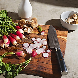 Yatoshi Magnetic Kitchen Knife Block Set 6 Pcs - Japanese 67 Layer High-Grade VG-10 Damascus Steel Knives, Sharp, G10 Handle Professional Kitchen Knife Set