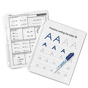 Avery Clear Economy Sheet Protectors, Top Load, 100 Document Protectors (75183)