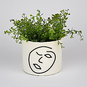 Fun Express Original Sculpey White, Non Toxic, Polymer clay, Oven Bake Clay, 8 pounds great for modeling, sculpting, holiday, DIY and school projects. Great for all skill levels.