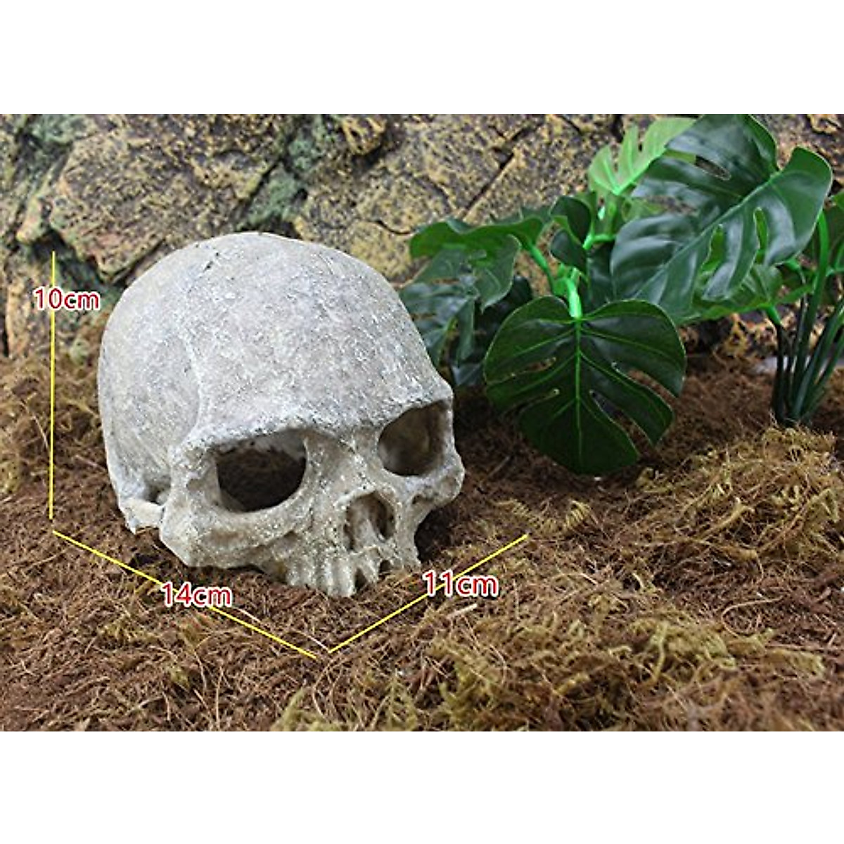 Hewnda Aquarium Decor Resin Artificial Head Skeleton Decoration - Aquarium Otaru Aquarium Decorative Cave Landscape Pet Reptile House