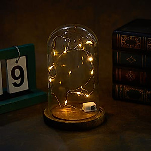 4 Pcs Clear Glass Dome Cloche with Led Fairy Light and Wood Base Set, Battery Operated Glass Cloche Glass Dome with Base Tabletop Bell Jar Display Case for Office Home Wedding Centerpiece (Coffee)