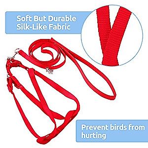 Bird Harness and Leash Kit Adjustable Anti-Bite, Fit for Large Medium Birds, Macaw,Budgerigar, Cockatoo, African Grey, and Reptiles, Lizards（Red Large）