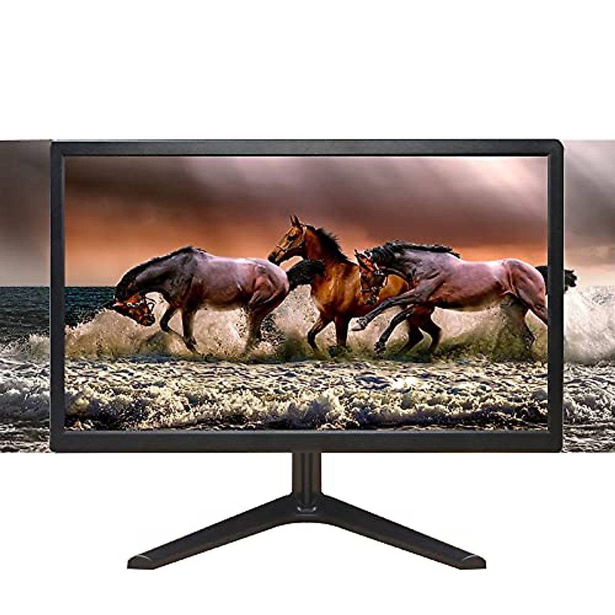 RAYPODO 18.5 inch PC Monitor with VGA Monitor (Black), RPD-1850
