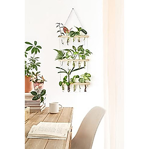 Mkono Plant Propagation Tubes, 3 Tiered Wall Hanging Plant Terrarium with Wooden Stand Mini Test Tube Flower Vase Glass Planter for Hydroponic Plant Cutting Home Garden Office Decor Plant Lover Gift