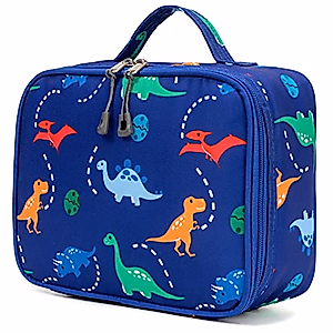 JinBeryl Insulated Lunch Box Bag for Kids Boys, Size for Preschool, Kindergarten, or Travel, Dinosaur Blue