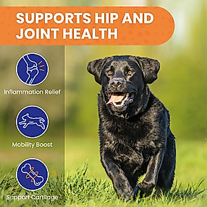 HOOLOO Calming Chews for Dog Anxiety Relief-Natural Puppy Calming Treats Help Manage Stress and Promote Relaxation,Made in USA-120 Chews