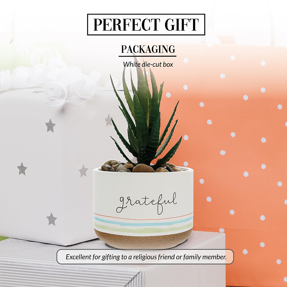 Pavilion Gift Company - Grateful - Artificial Plant with Stones, Mini Fake Aloe Plant, 1 Count (Pack of 1), 3.5” x 3.5” x 6.25” Overall in Size