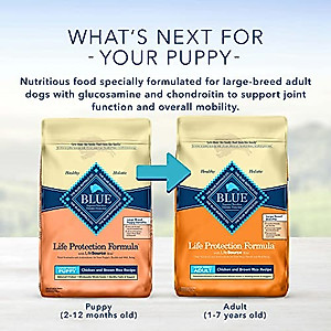 Blue Buffalo Life Protection Formula Natural Puppy Large Breed Dry Dog Food, Chicken and Brown Rice 30-lb