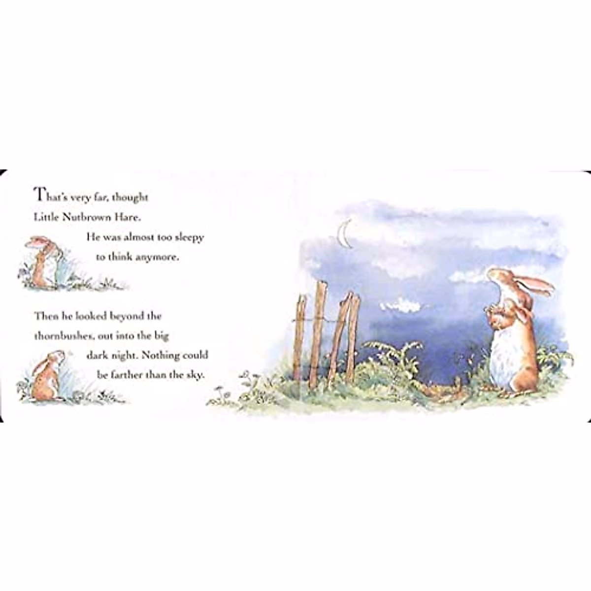 Guess How Much I Love You