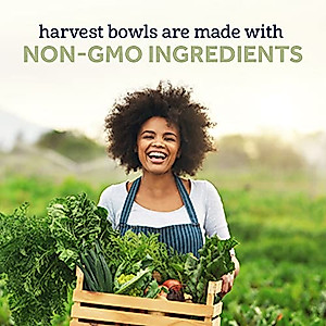 Gerber Mealtime Harvest Bowl, Spanish-Style Sofrito Rice & Veggies, 4.5 Ounce (Pack of 8)