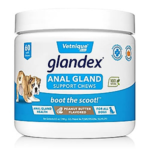 Vetnique Labs Glandex Anal Gland Soft Chew Treats with Pumpkin for Dogs Digestive Enzymes, Probiotics Fiber Supplement for Dogs Boot The Scoot (Peanut Butter Chews, 60ct)