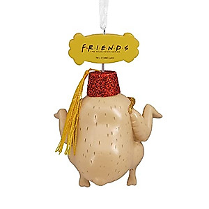 Hallmark Friends Frame Christmas Ornament, Resin & Friends Turkey in Fez and Sunglasses Christmas Ornament, Resin