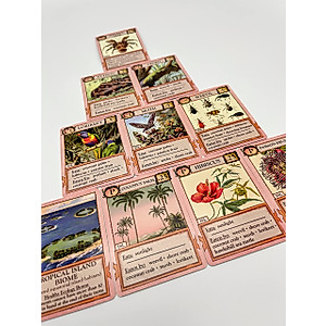 Montrose Biology Ecologies: Hidden Habitats - Use Science to Build Food Webs in 7 Biomes - Beautiful Vintage Nature Art for The Classroom or Game Night