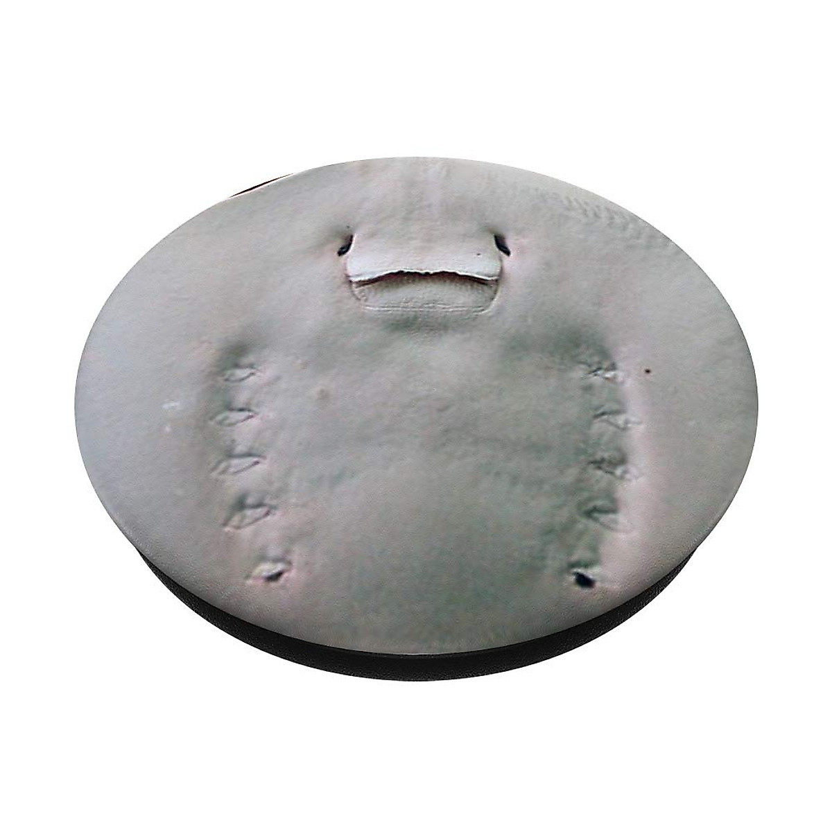 Cute Smiling Stingray PopSockets Swappable PopGrip